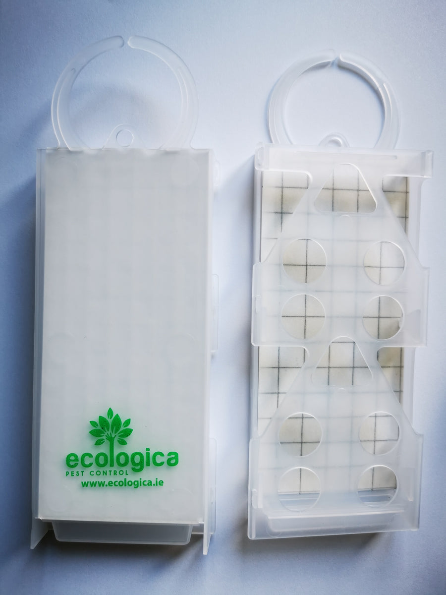 Ecologica Non-Toxic Clothes Moth Pads 10s | ecologica.ie – Ecologica ...